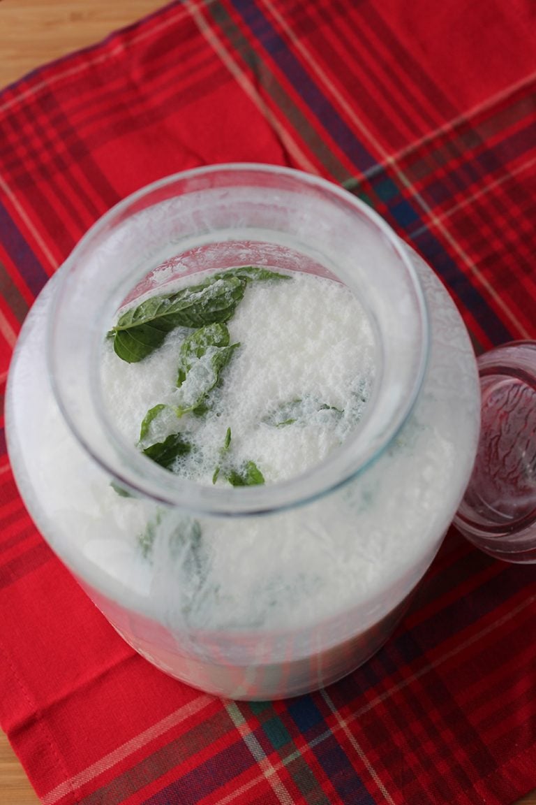 Turkish Ayran Beverage | Swanky Recipes